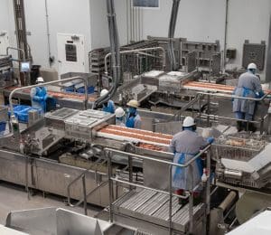 Career paths | Maple Leaf Foods